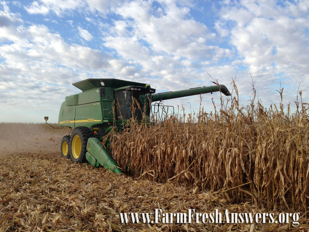 Combining Corn – McLean County Ag in the Classroom