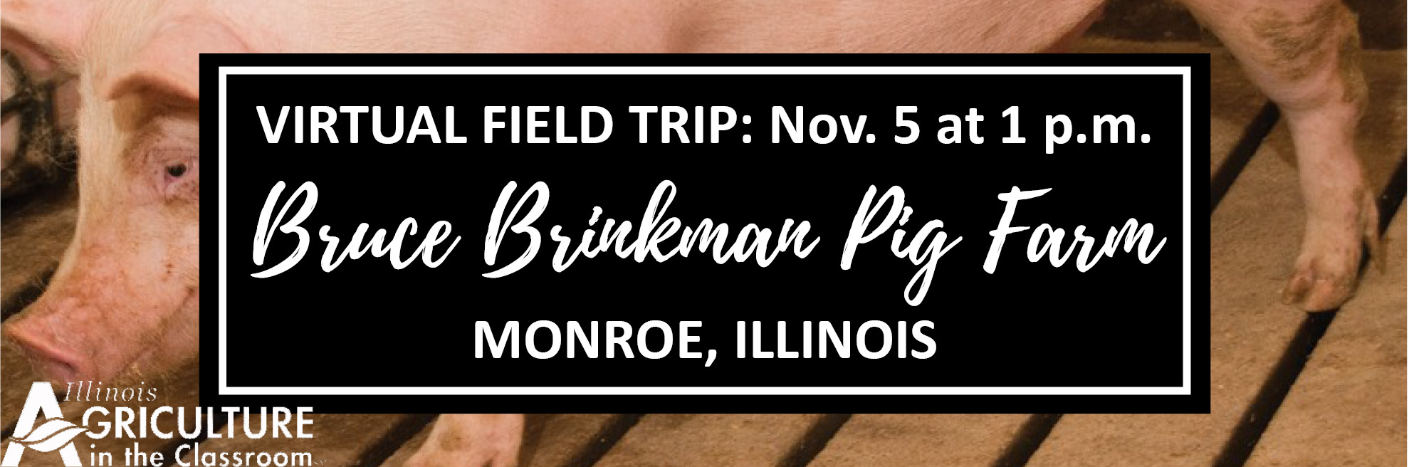 Pig Farm Virtual Field Trip – McLean County Ag in the Classroom